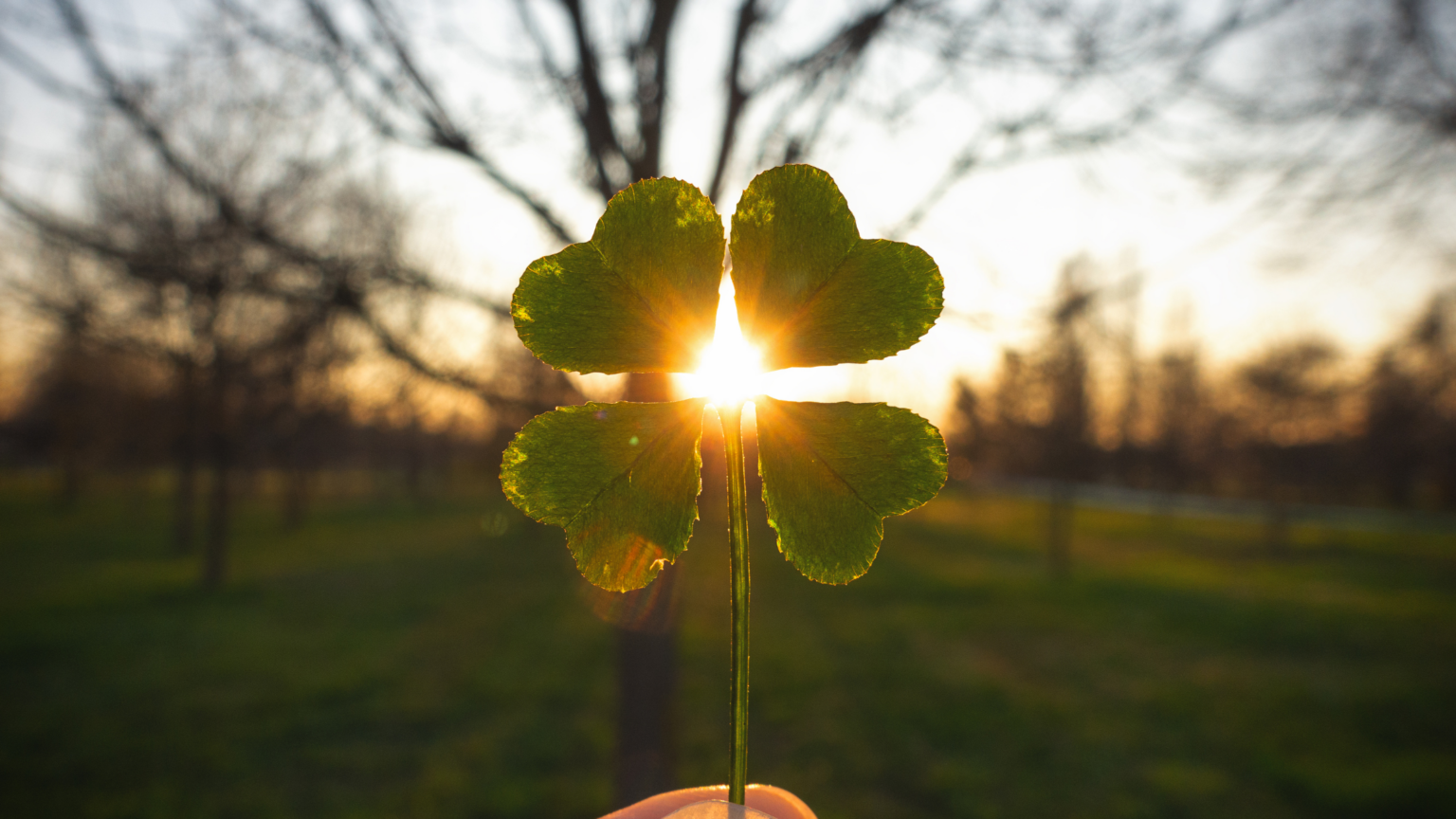 Síndrome De La Persona Suertuda: Qué Es Y Cómo Usarlo